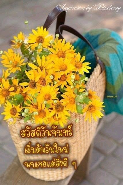 ปักพินโดย เมื่อดอกไม้บาน ใน วันจันทร์ อรุณสวัสดิ์ วันจันทร์ สวัสดี