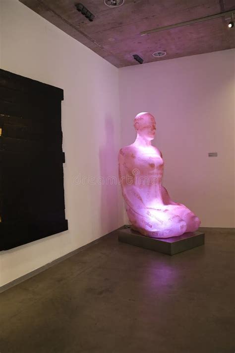 Obras De Artistas Expostas No Museu Regional Da Arte Moderna Foto De