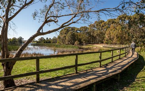 Discover Traralgon The Ideal Location For Locum Doctors Remh
