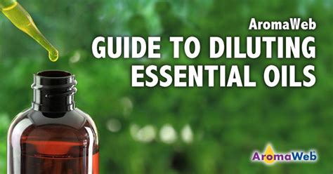 Guide To Diluting Essential Oils Aromaweb