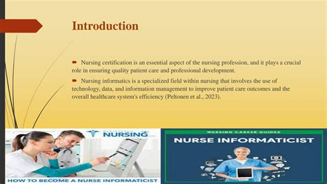 Solution Nursing Informatics Certification Studypool