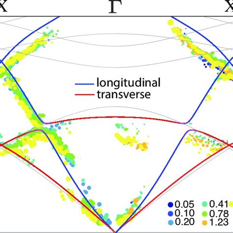 Photoexcited Phonon Dispersion Of Snse Low Frequency Region Of The