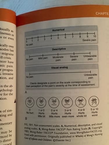 Fundamentals Vital Signs In Laboratory Reference Intervals Saunders Ch 10 Flashcards Quizlet