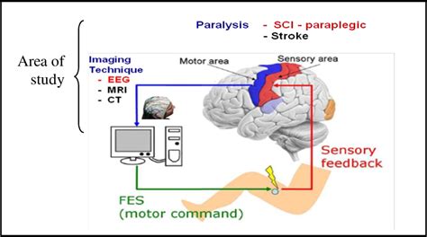 Figure 11 From Development Of Brain Computer Interface Bci System For Integration With