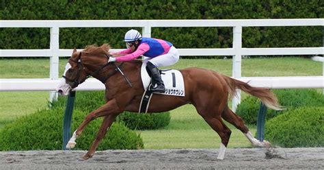 【2歳次走報】メイショウホウレンはなでしこ賞を視野に サンスポzbat