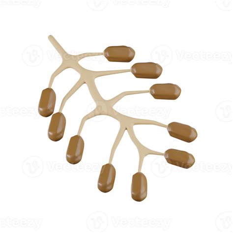 Kurma Ramadhan Kareem 3d Ilustrações 27125066 Png