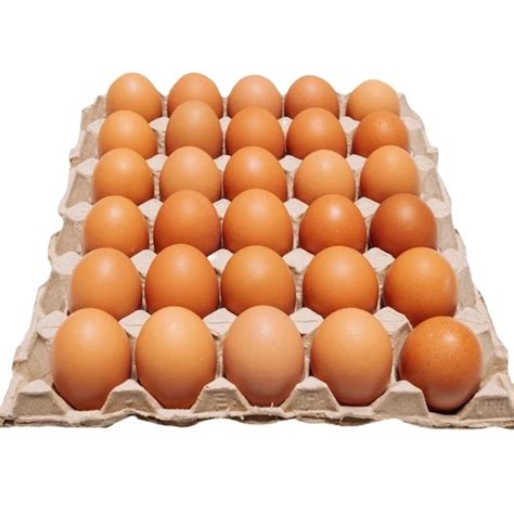 Fertile Hatching Chicken Egg Fresh Chicken Table Eggsquail Eggs For