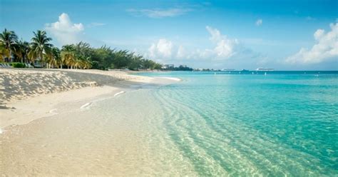 De George Town Grand Cayman Seven Mile Beach Trip GetYourGuide