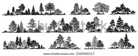 Trees Sketch Set Hand Drawn Graphic Stock Vector Royalty Free 2209000157 Shutterstock
