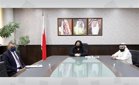 الامين العام لمجلس التعليم العالي تبحث سير البرامج الاكاديمية مع رئيس