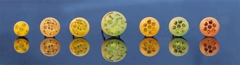 Led Multichip And Chip On Board Packaging