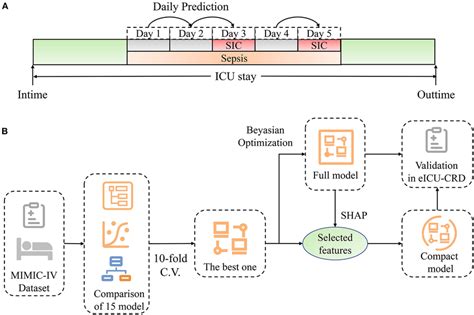 Schematic Illustration Of The Study Design A Design Of Dynamic