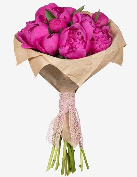 Pionien Kimppu Toimitus Suomessa