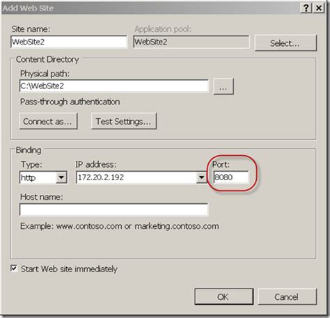 Huthaifa Afanah Hosting Multiple Websites Applications On IIS Part