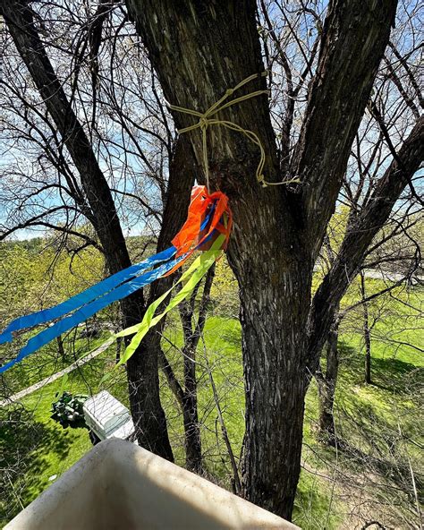 Analog Services Llc Analogservices • Instagram Photos And Videos