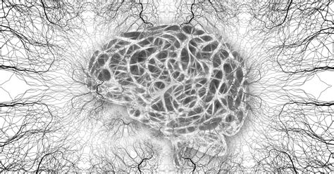 Exploring Neurons Molecular Highways How A Key Protein Regulates
