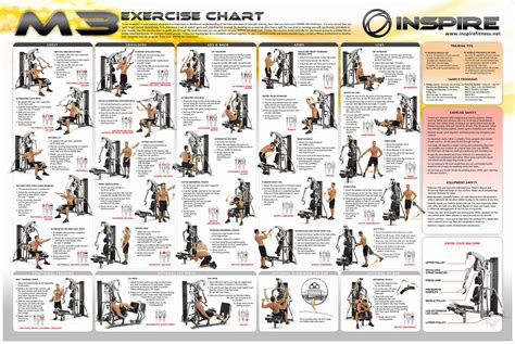 Skillful Total Gym Exercise P90x Progress Chart Marcy Gym Workout Chart