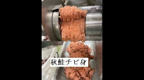 骨肉分離機チビ秋鮭ドレス Deboning Seaparator Chiby for chicken fish Autumn