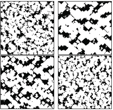 Several Binary Microstructures Were Made By Changing The Input