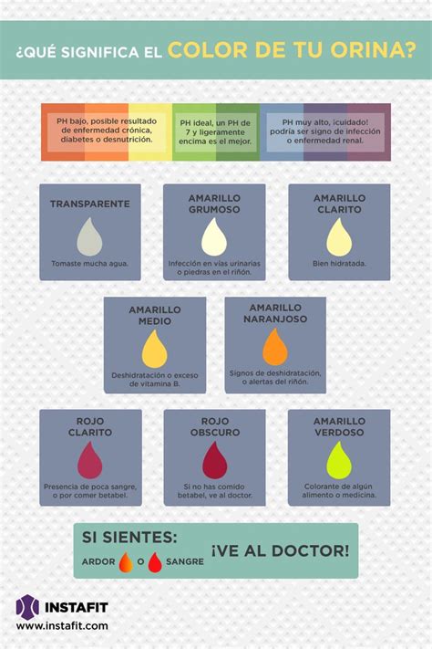 Qué dice el color de tu orina Cosas de enfermeria Color de la
