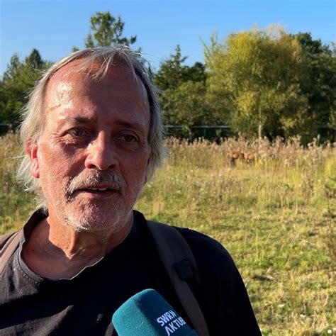 Landschaftspflege Mit Schafen In Ludwigshafen Swr Aktuell