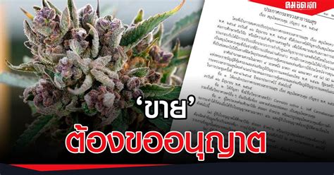 ราชกิจจาฯ ออก ประกาศ สธ คุม ช่อดอกกัญชา ขาย ต้องขออนุญาต มีผล