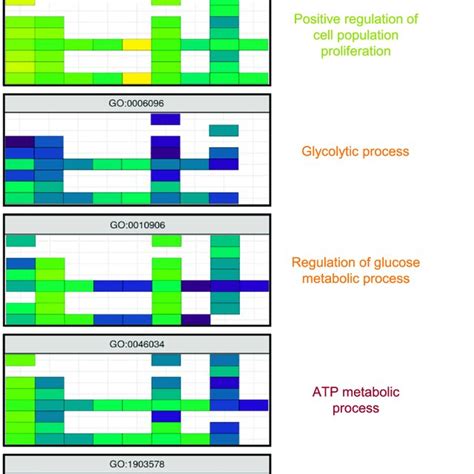 Pathway Analysis By Biased Random Walks A Heatmaps Of Effector