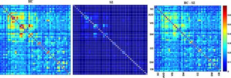 Pairwise Mean Time Decays In Healthy Control HC And Schizophrenia