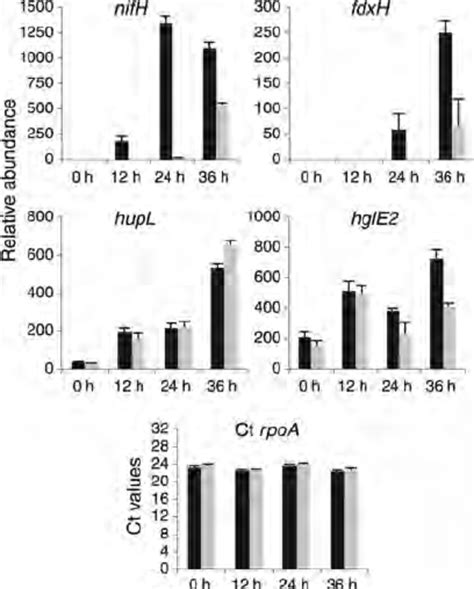 Quantitative Reverse Transcription Pcr Qrt Pcr Measurements Of Mrna
