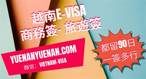 22 越南电子签证 越南落地签证 2025