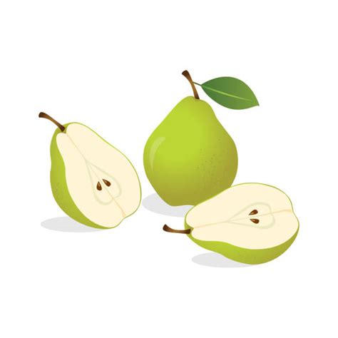 Top 60 Pear Slice Clip Art Vector Graphics And Illustrations Istock