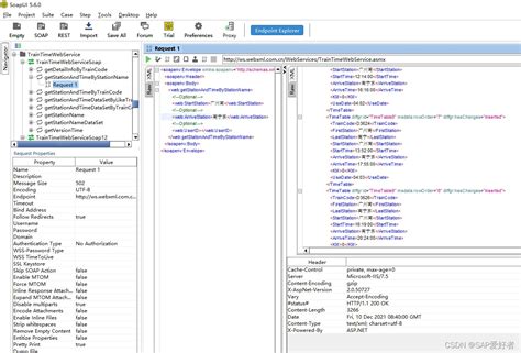 Sap 接口测试实战 Web Services Rest Json Odatasap接口测试方法 Csdn博客