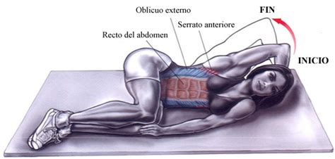 Ejercicios Para El Gym Ejercicios Para Oblicuos