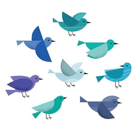 989600 Burung Ilustrasi Foto Stok Potret And Gambar Bebas Royalti