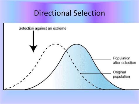 Population Genetics Life Science Mannix Ppt Download