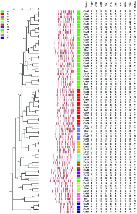 Dendrogram Cluster Analysis Of PFGE Data For 58 Clinical And 20