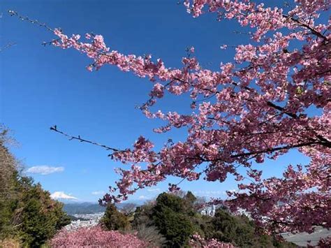 「腸活」で体も心も快適元気に ハルメクハルトモ倶楽部