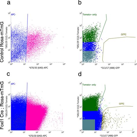 Fluorescence Activated Cell Sorting Plots Ad Representative FACS Download Scientific Diagram