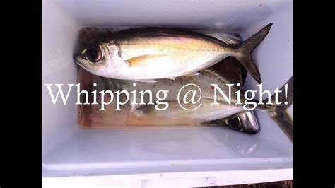 Whipping At Night For Bigeye Scads Akule Youtube