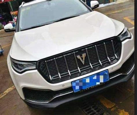 车标是个v是什么车 有驾