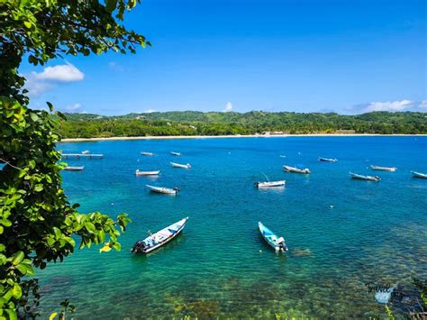 La Guía Completa De Trinidad Y Tobago Travel Over Sky