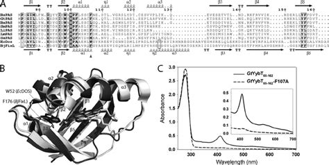 Sequence And Modeling Analysis Of Heme Binding A Sequence Alignment