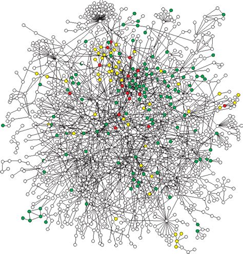 Figure 1 From Role Of The Cytoskeleton In Signaling Networks Semantic
