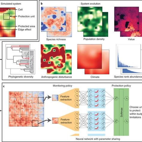 Pdf Improving Biodiversity Protection Through Artificial Intelligence