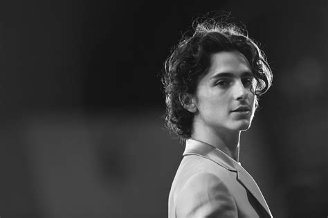 Timothee Chalamet Desktop Wallpapers Wallpaper Cave