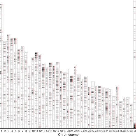Chromosomal Distributions Of Genetic Signatures Download Scientific Diagram