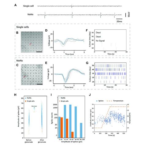Neural Signals Recording And Analysis From Single Cells And Nons A Download Scientific