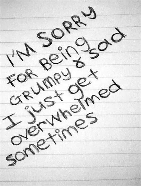 Sorry For Being Grumpy Quotes Quotesgram