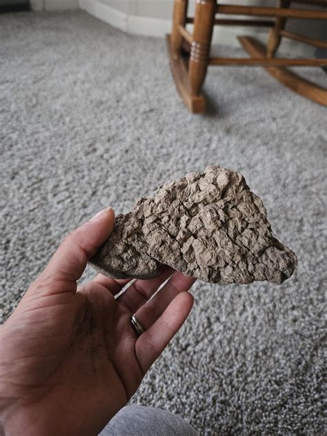 Rock Fossel Slag R Northdakota