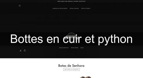 Bottes En Cuir Et Python Chaussures Femme Bottes En Cuir Et Python Chaussures Femme